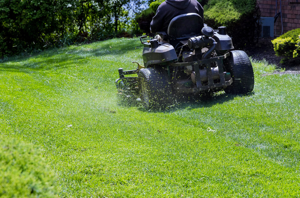Lawn Fertilization Explained: Giving Your Grass the Best Care